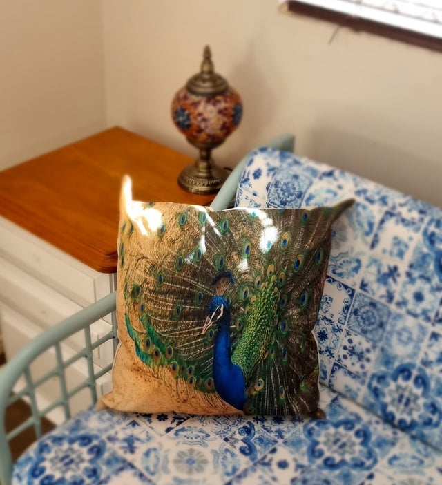 Ginger Secrets - Holistic Services